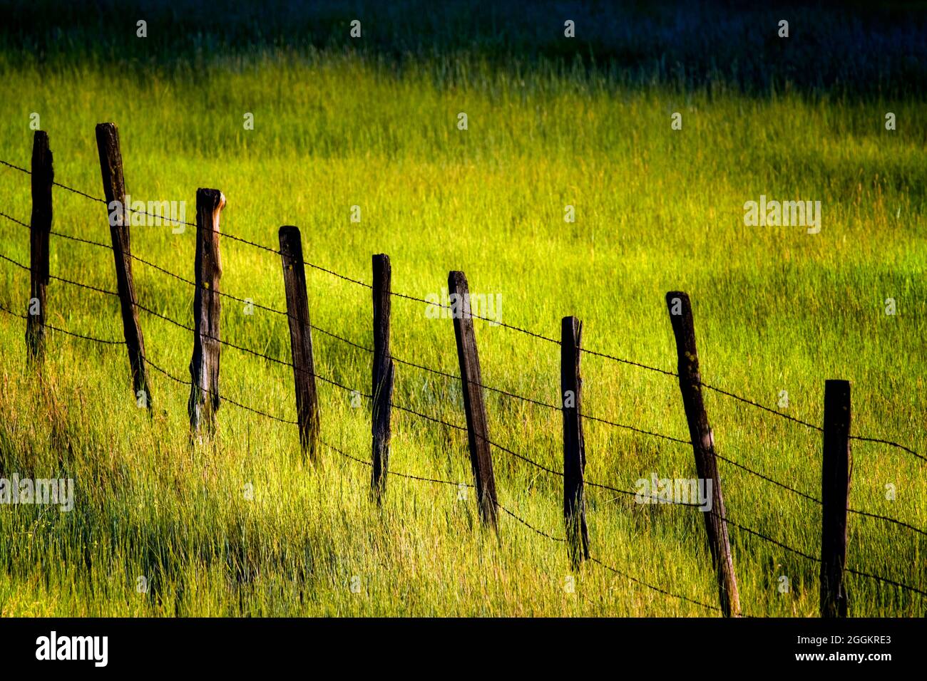 Fence line in tall grass pasture. Near Halfway, Oregon Stock Photo - Alamy