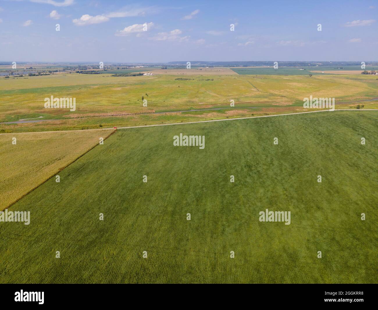 Soybean field farm iowa usa hi-res stock photography and images - Alamy