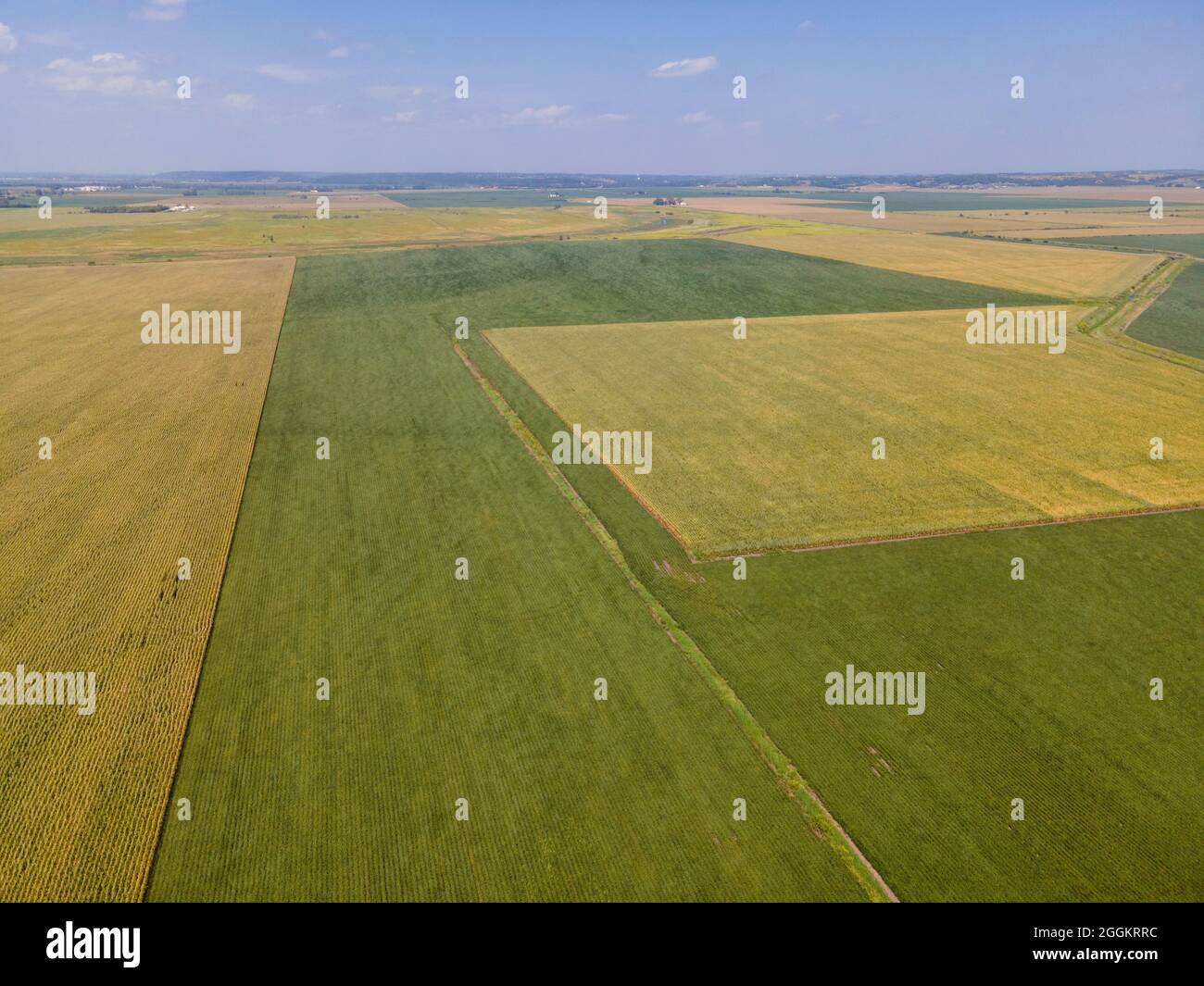 Aerial photograph of a soybean field, near Pacific Junction, Mills ...