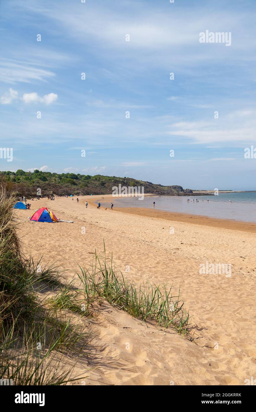 Gullane sands hi-res stock photography and images - Alamy