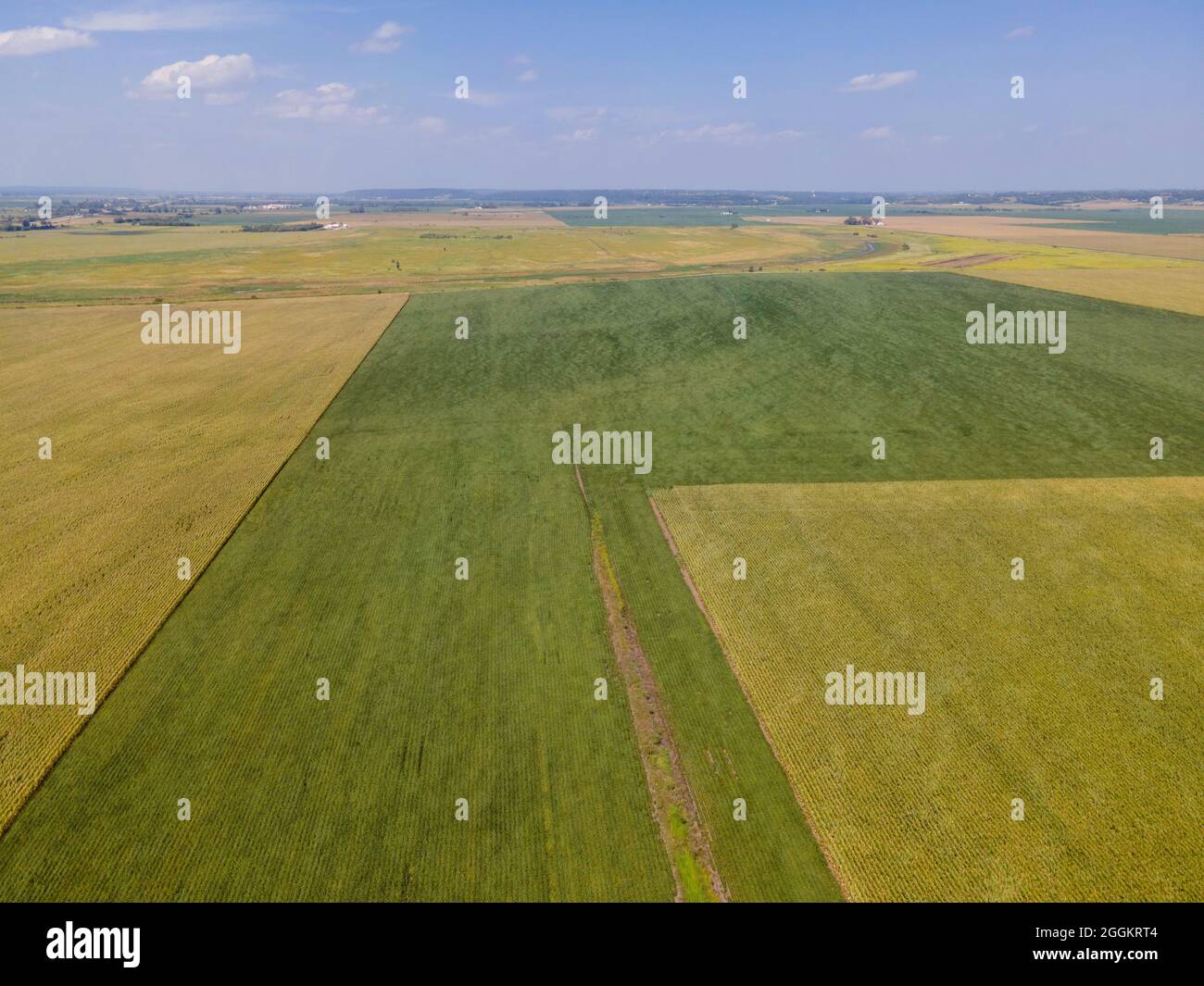 Soybean field farm iowa usa hi-res stock photography and images - Alamy