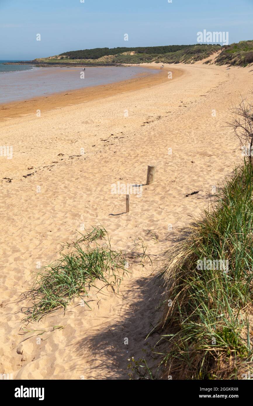 Gullane Beach, East Lothian, Scotland Stock Photo - Alamy