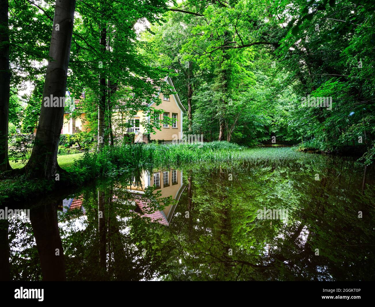Pond, stream, house, artist's house, tree, forest, reflection ...