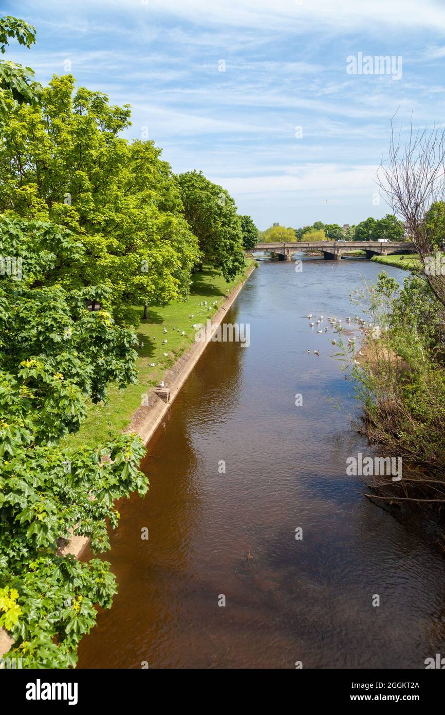 Musselburgh musselburgh scotland hi-res stock photography and images ...
