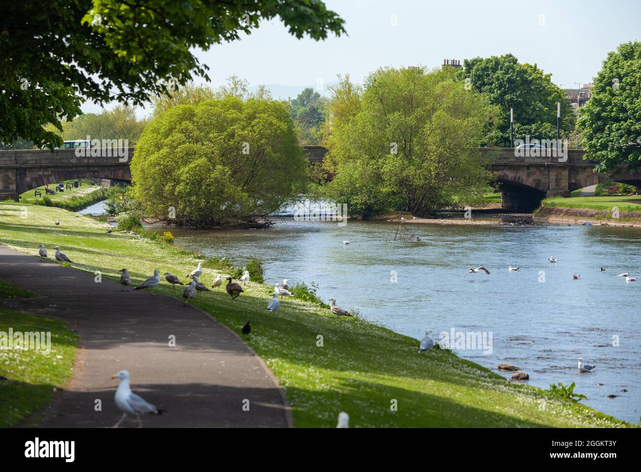 The River Esk at Musselburgh, East Lothian, Scotland Stock Photo - Alamy