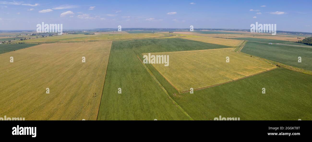 Soybean field farm iowa usa hi-res stock photography and images - Alamy