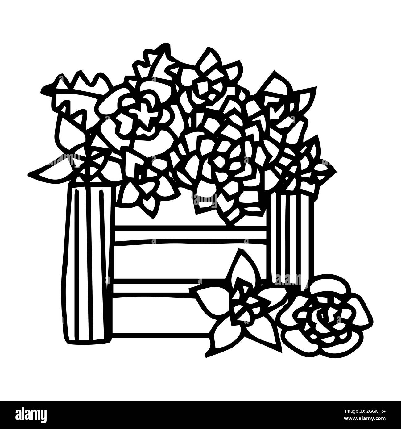 Succulents in wooden box isolated on white. doodle home flowers. Hand ...