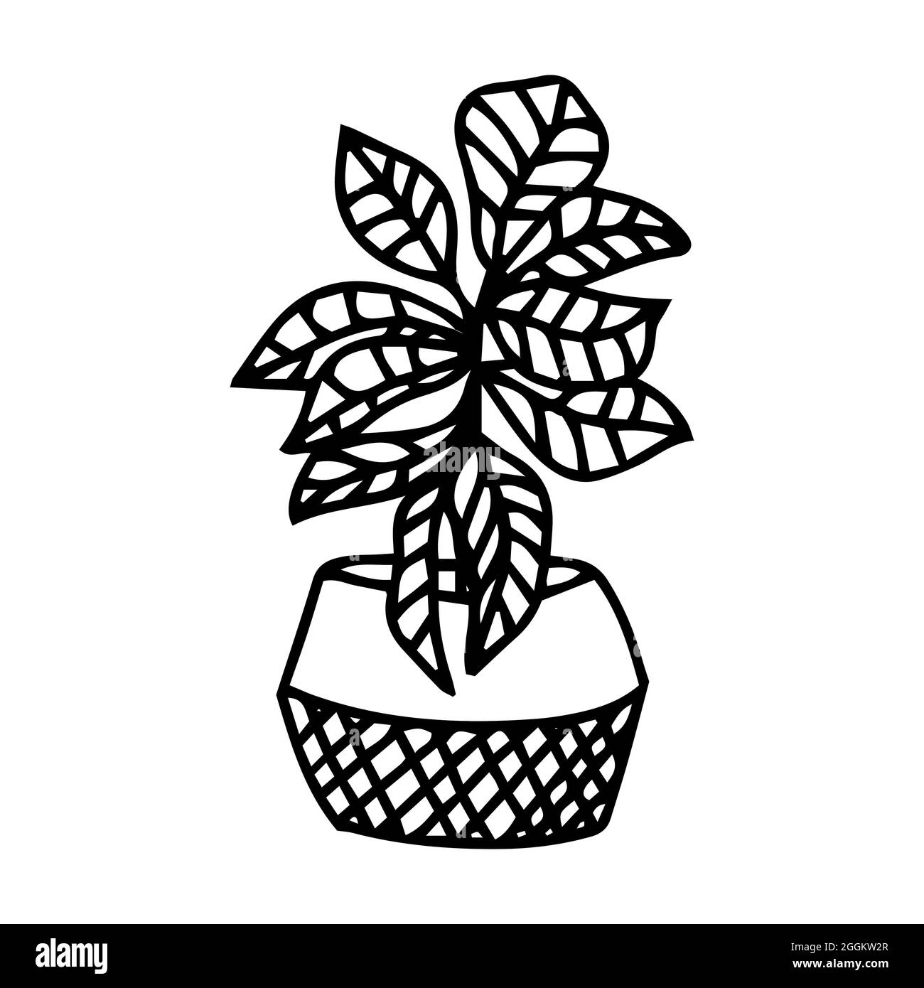 Painted plant pots Black and White Stock Photos & Images - Alamy