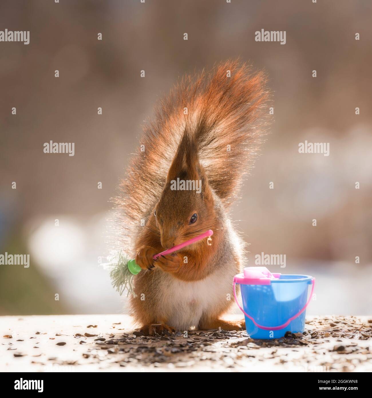 Holding broom hi-res stock photography and images - Alamy