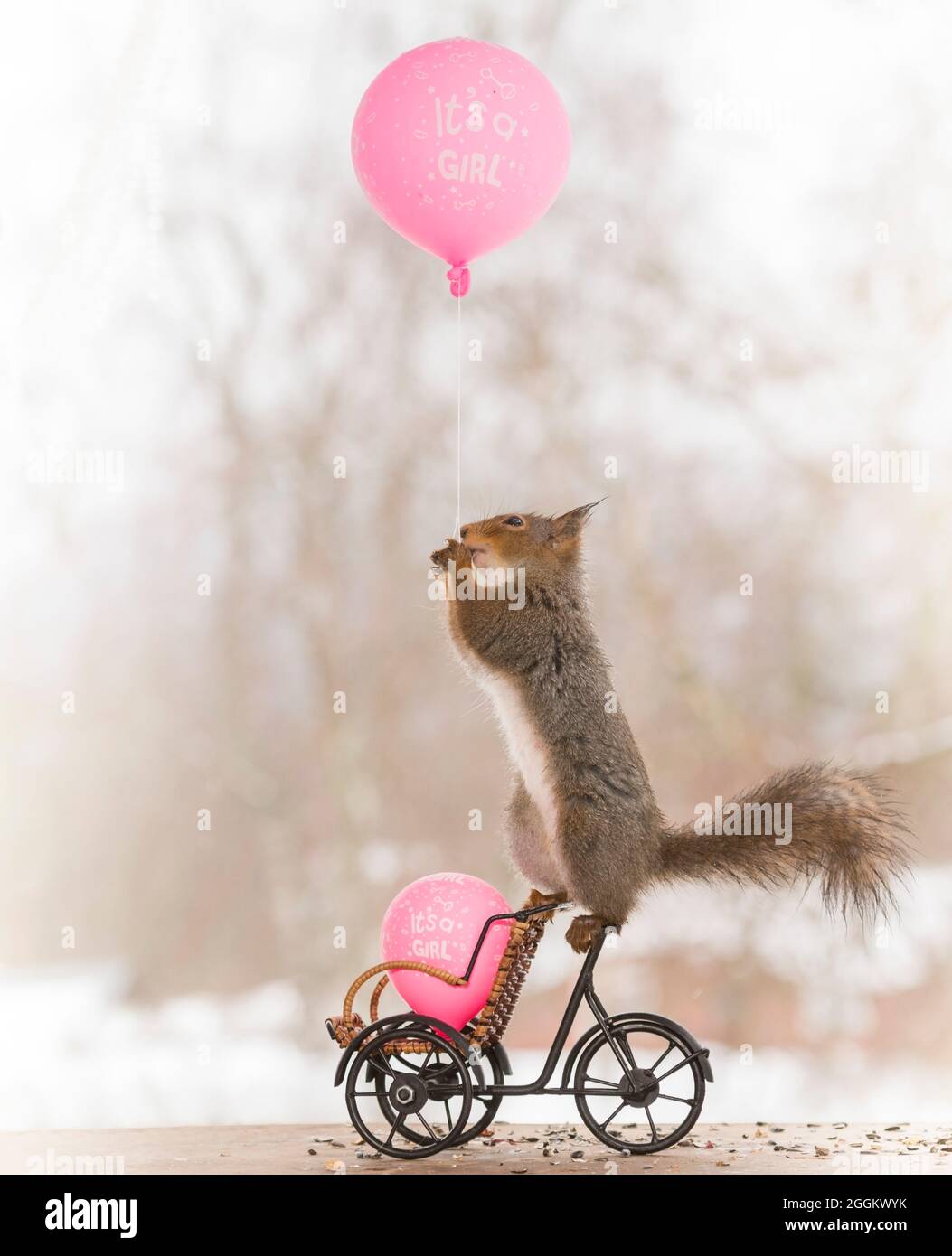 Balloon text hi-res stock photography and images - Alamy