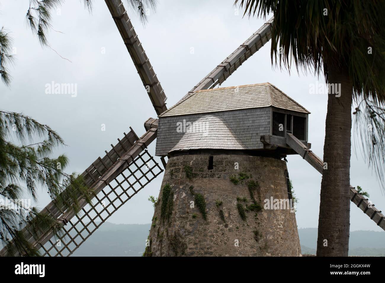 A view of the back of Morgan Lewis Windmill in Barbados, the largest ...