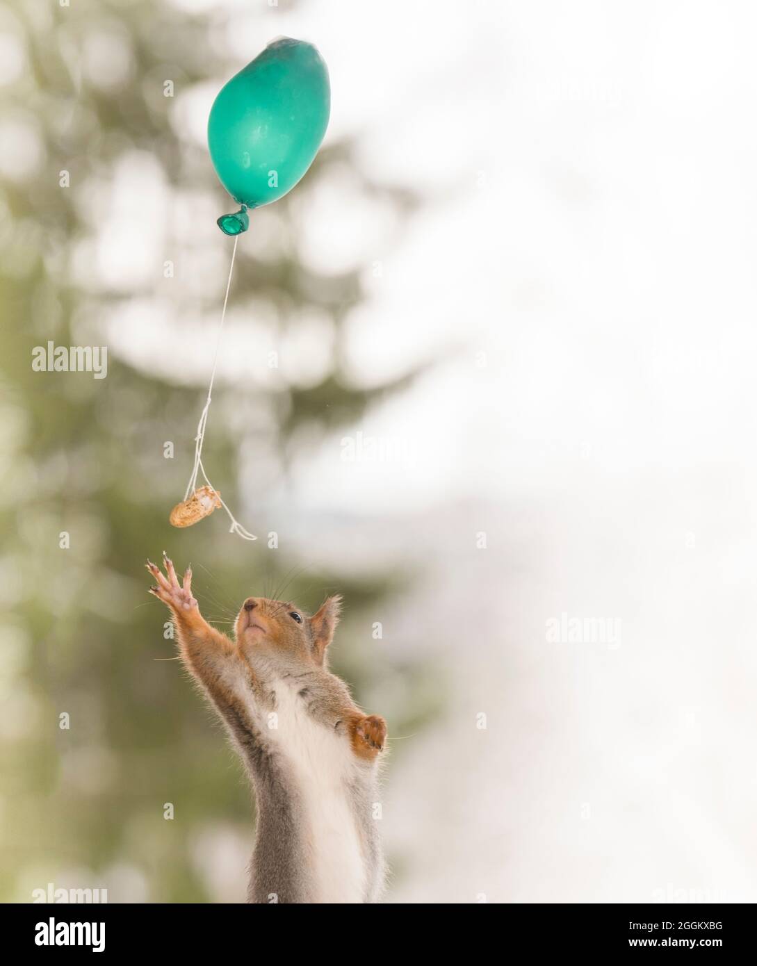 Green balloon hi-res stock photography and images - Alamy