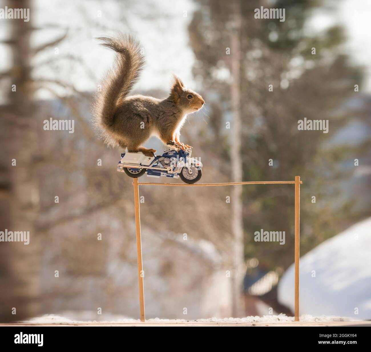 High performance motorcycle hi-res stock photography and images - Alamy