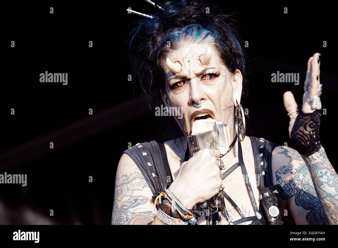 Copenhagen, Denmark. 22nd, June 2019. The Pain Solution Sideshow ...