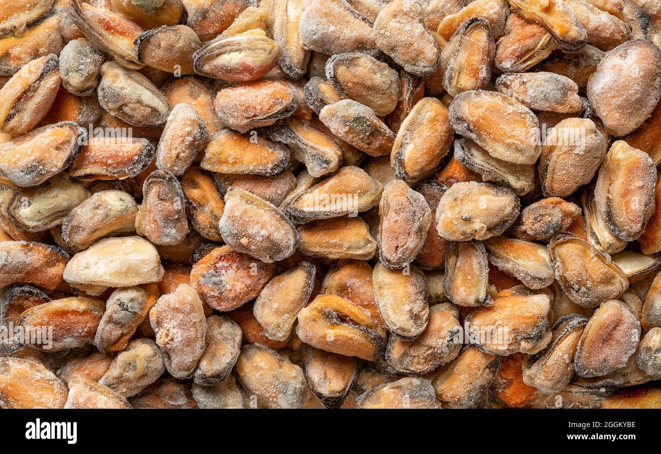 Frozen peeled mussel meat as background for seafood recipes. Iced ...