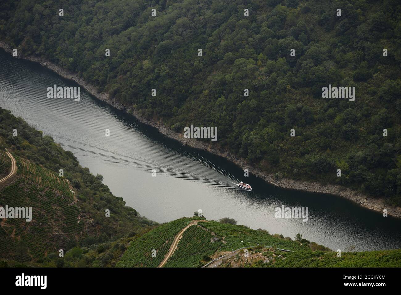 landscape at the Sil river and beautiful views of vineyards Stock Photo ...