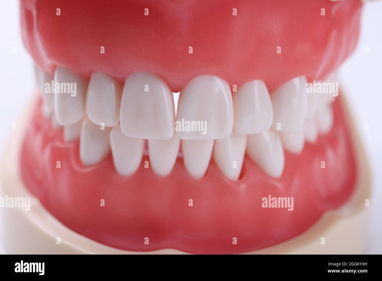 Correct the bite hi-res stock photography and images - Alamy