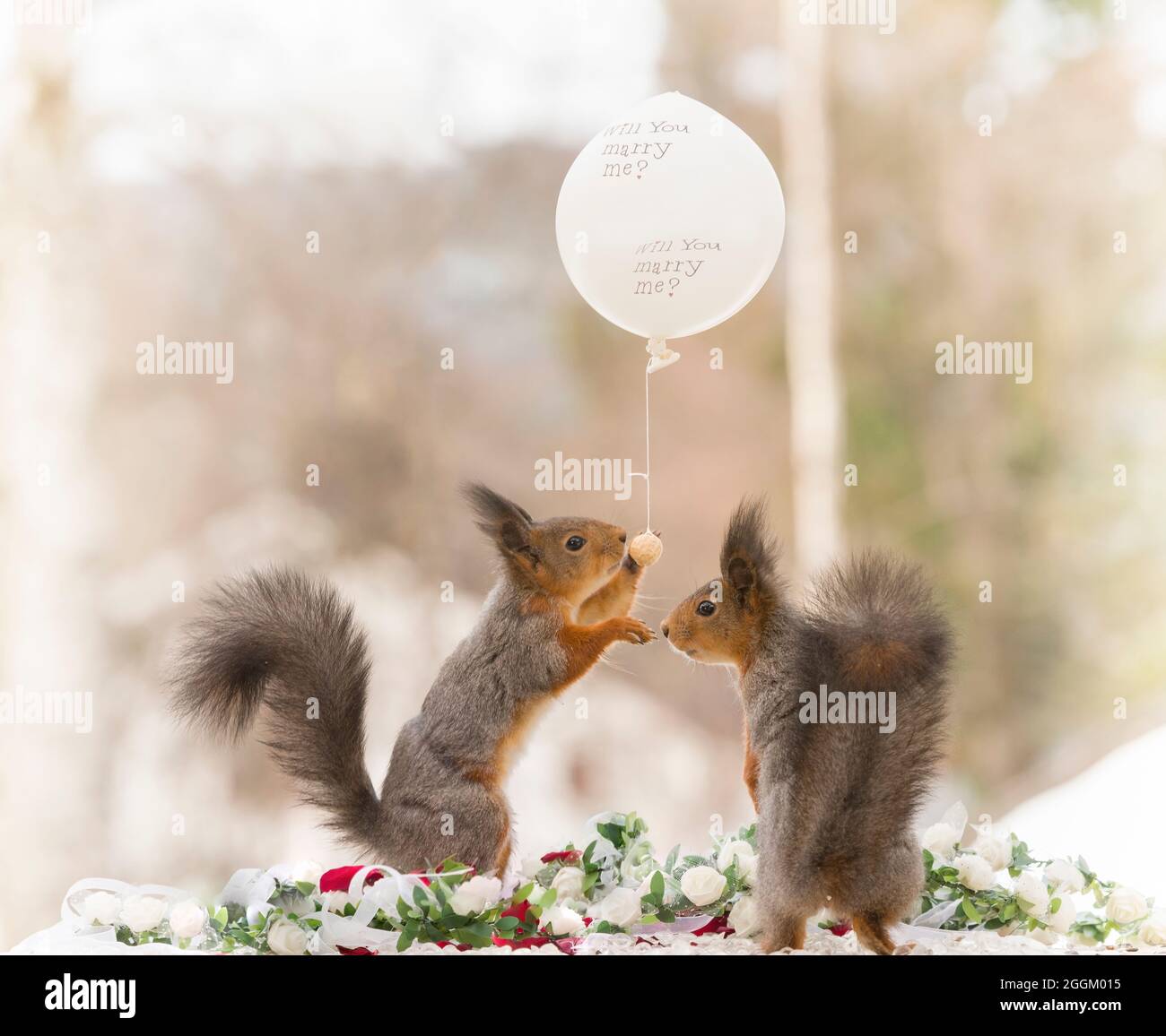 Balloon wedding hi-res stock photography and images - Alamy