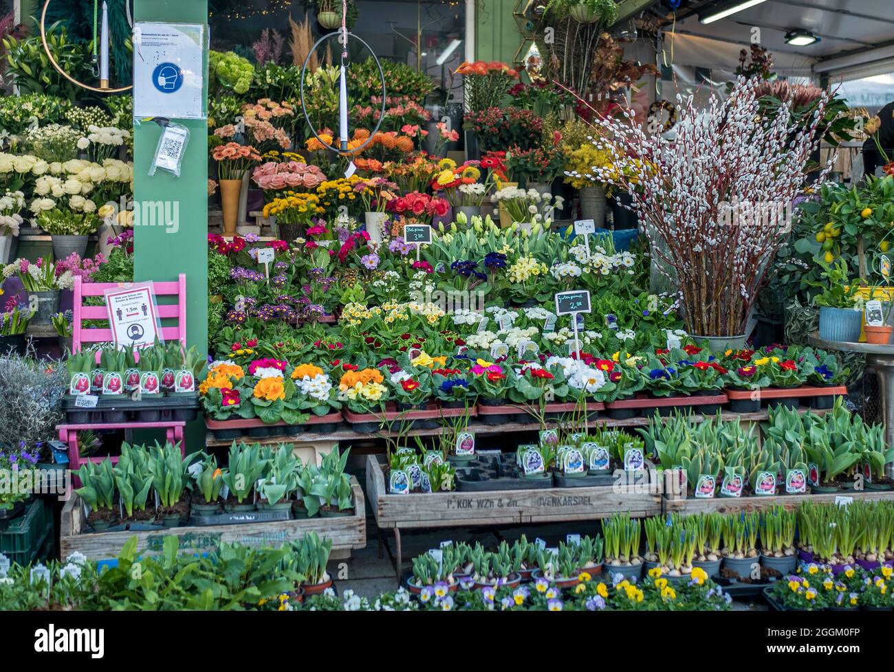 Flower market munich stall hi-res stock photography and images - Alamy