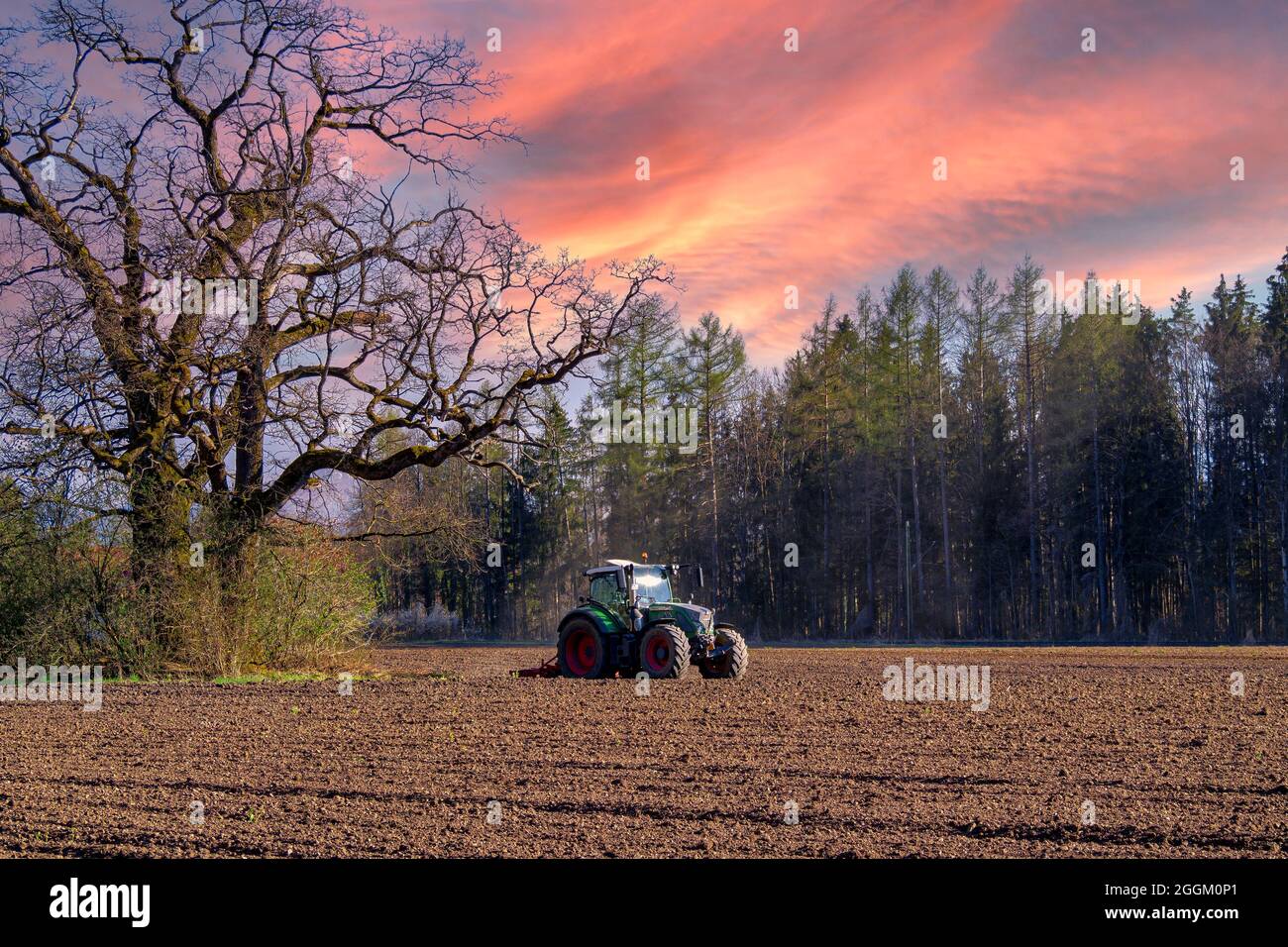 Farmer with tractor doing field work in a field, Upper Bavaria, Bavaria ...