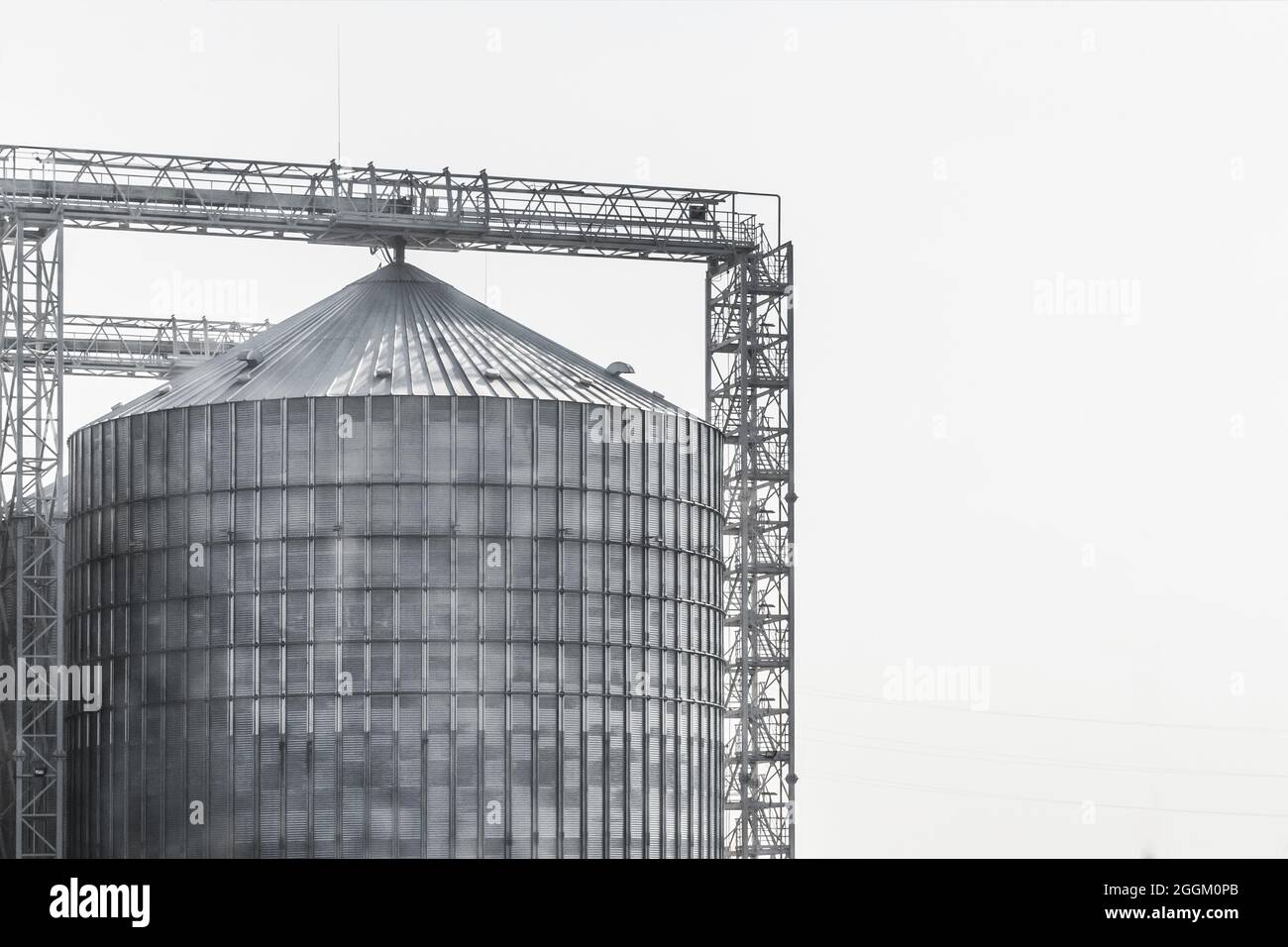 Silo tank, tower for storage of agricultural products, industrial plant ...