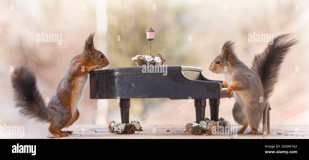 Piano hi-res stock photography and images - Alamy