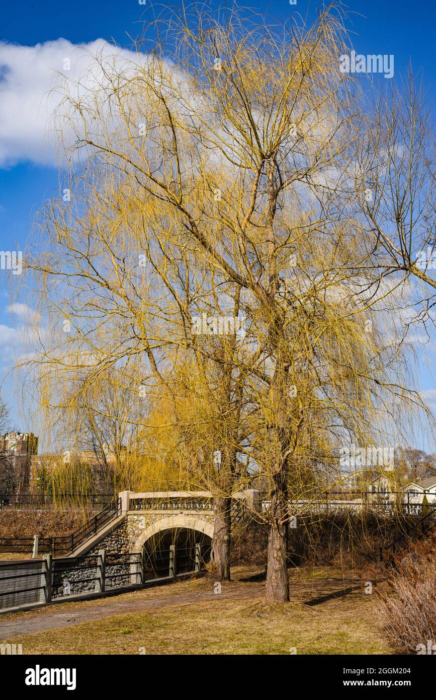 Ottawa spring hi-res stock photography and images - Alamy