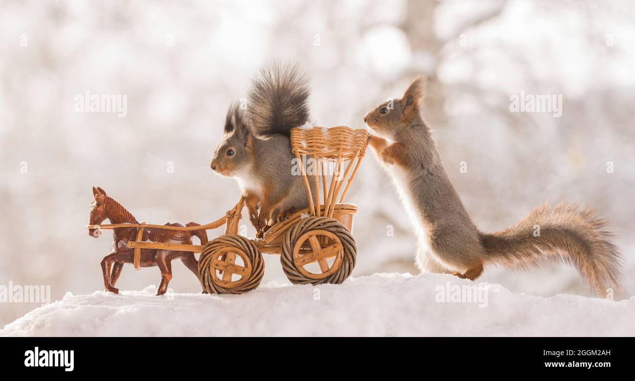 Wagon inside hi-res stock photography and images - Alamy