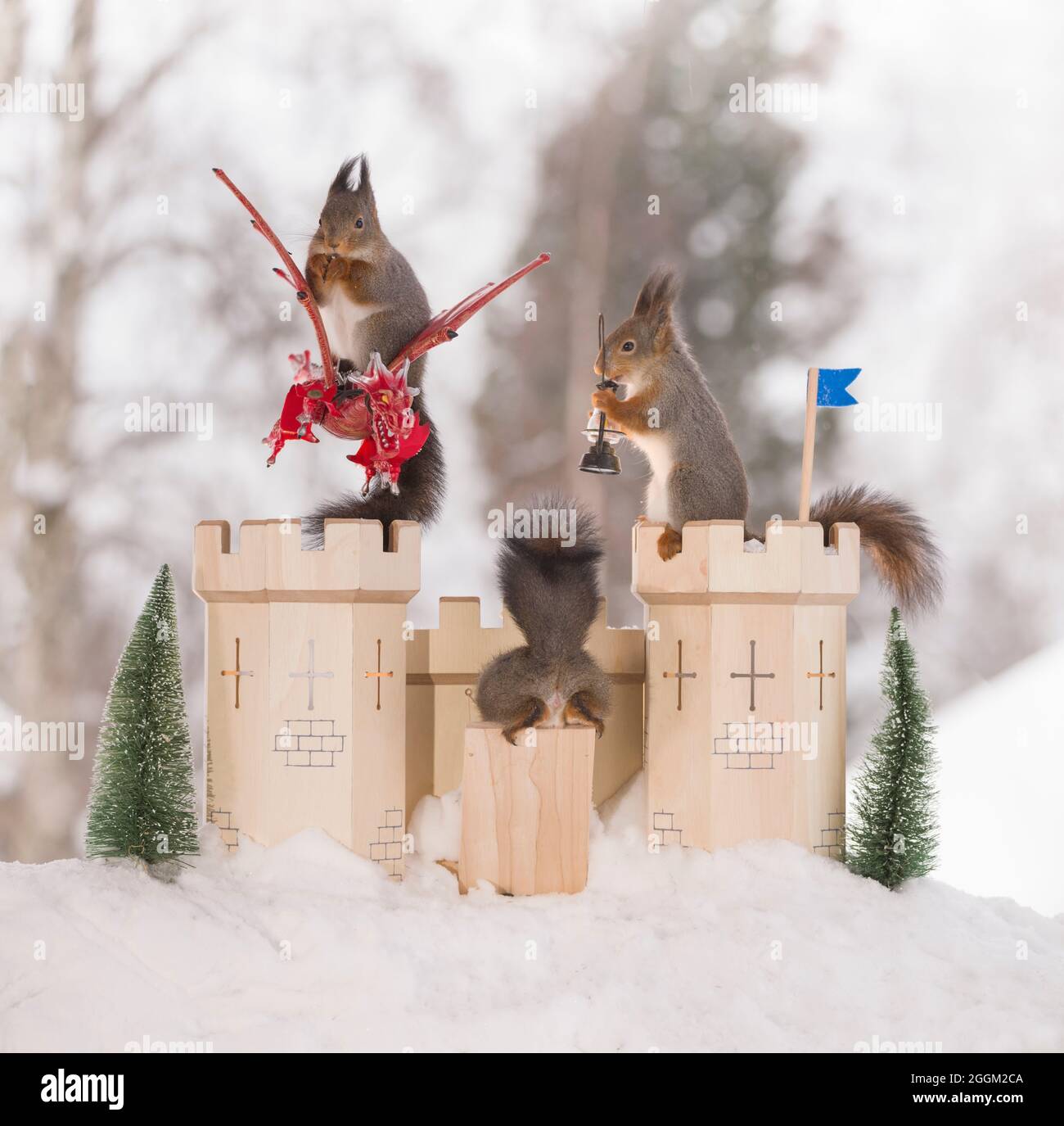 red squirrels with dragon and an castle in a winter Stock Photo - Alamy