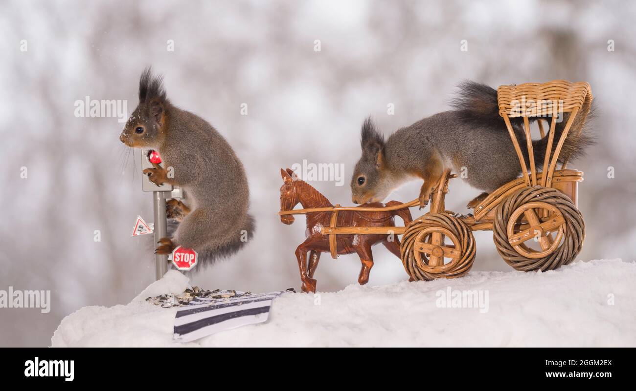 Waiting traffic light hi-res stock photography and images - Alamy