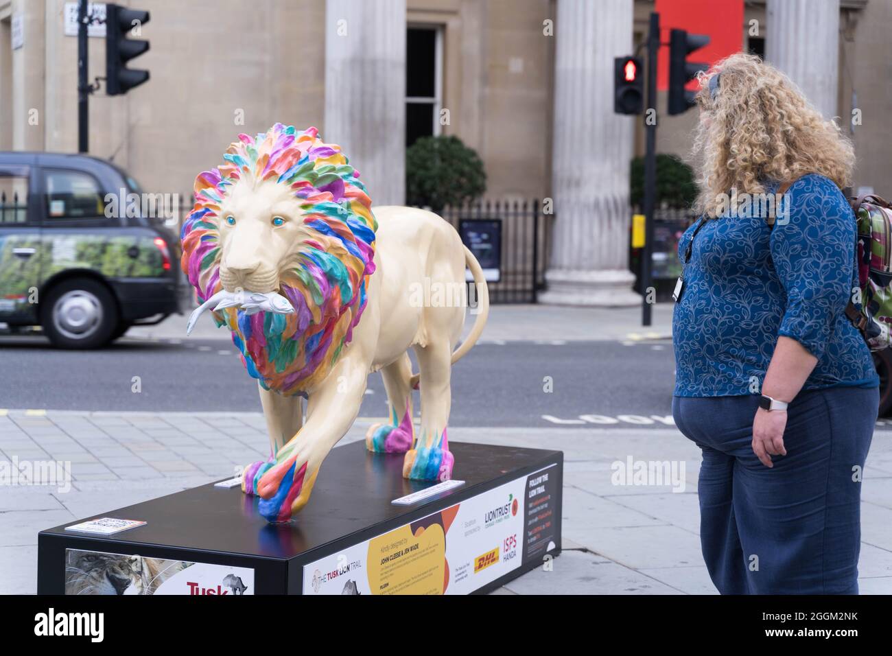 A tourist admires the lion statue installation near Trafalgar square ...