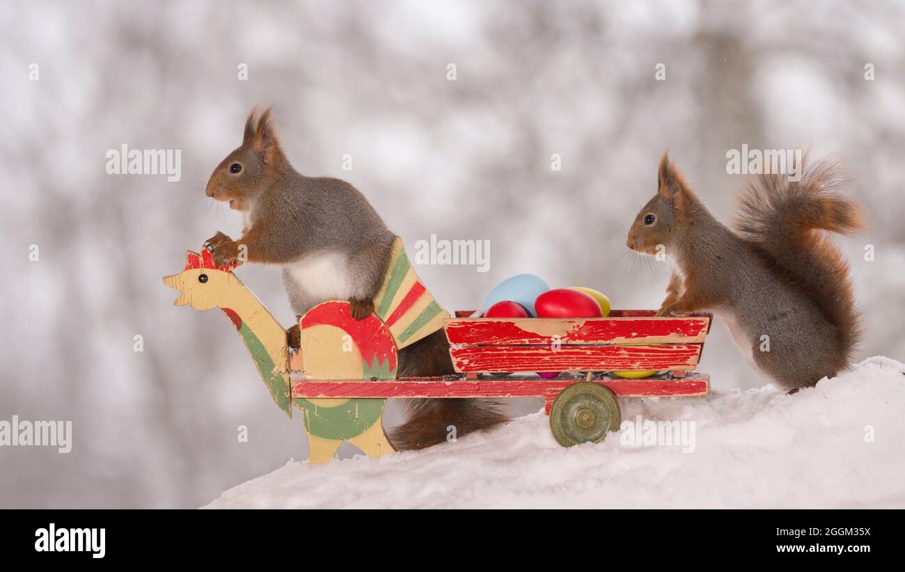 Easter wagon hi-res stock photography and images - Alamy