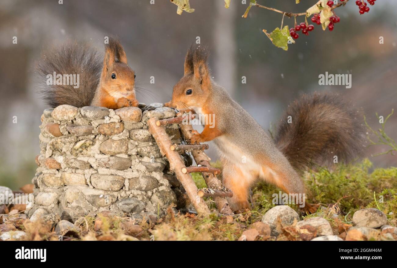 Wishing rock hi-res stock photography and images - Alamy