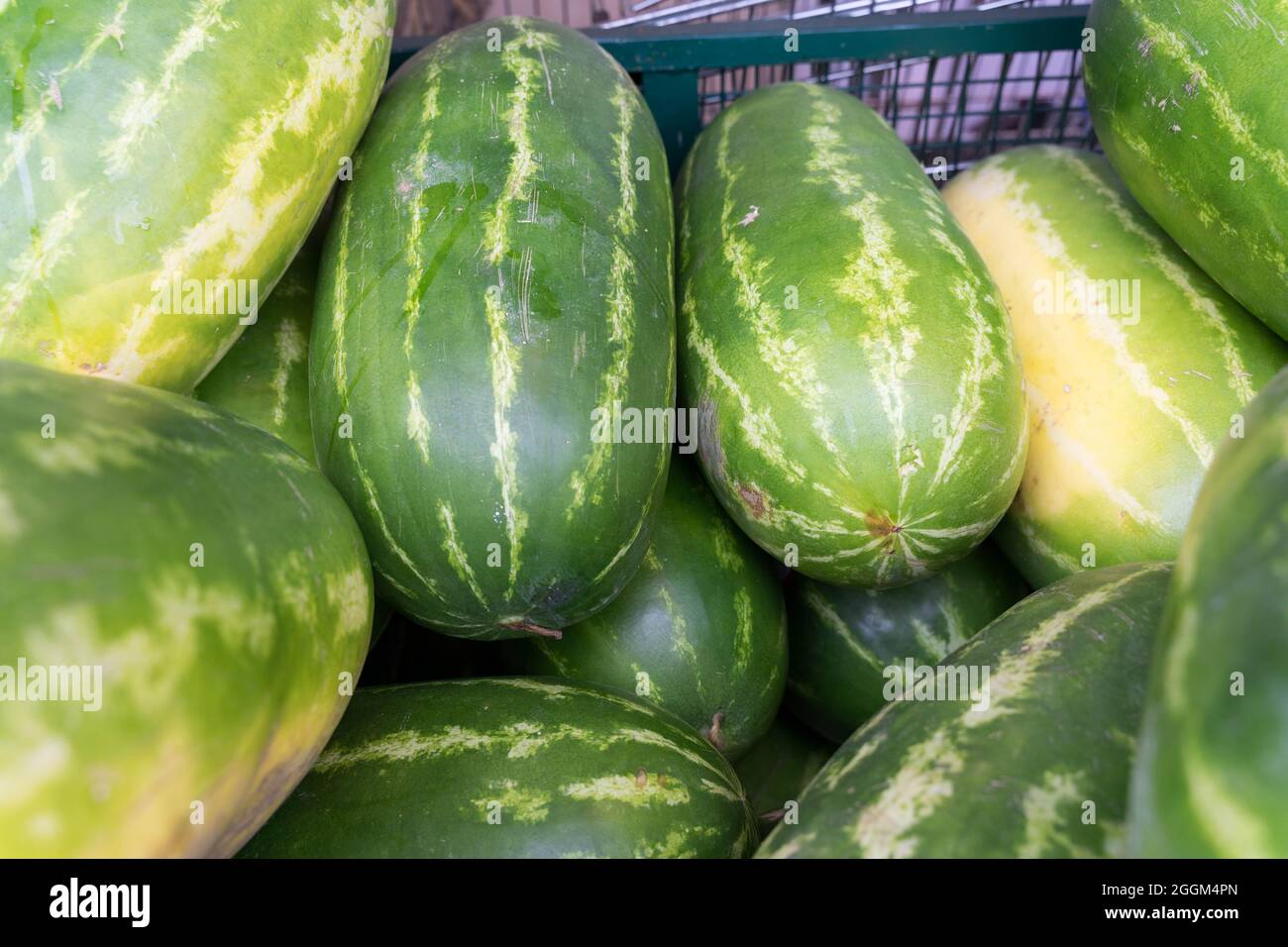 fresh whole Water melons in stripe for sale Stock Photo - Alamy