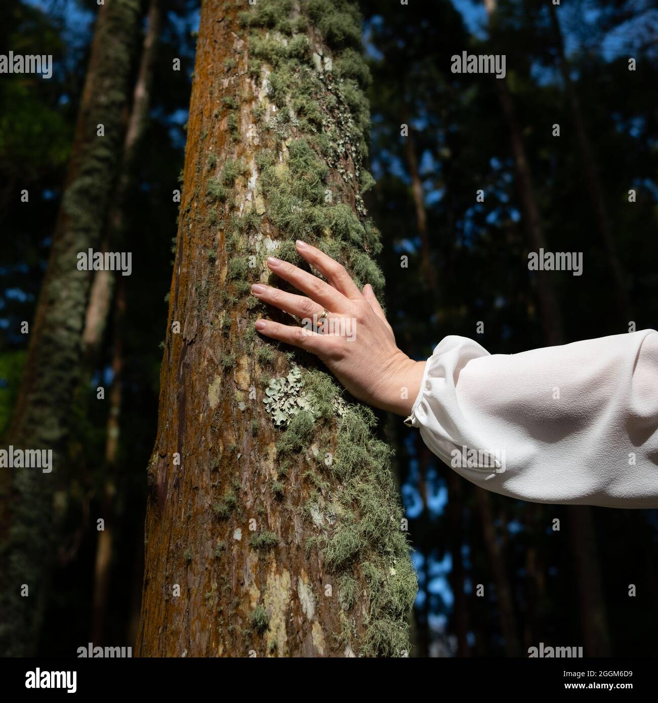 Palming it hi-res stock photography and images - Alamy