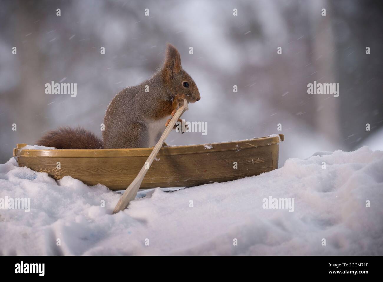 Red oar hi-res stock photography and images - Alamy