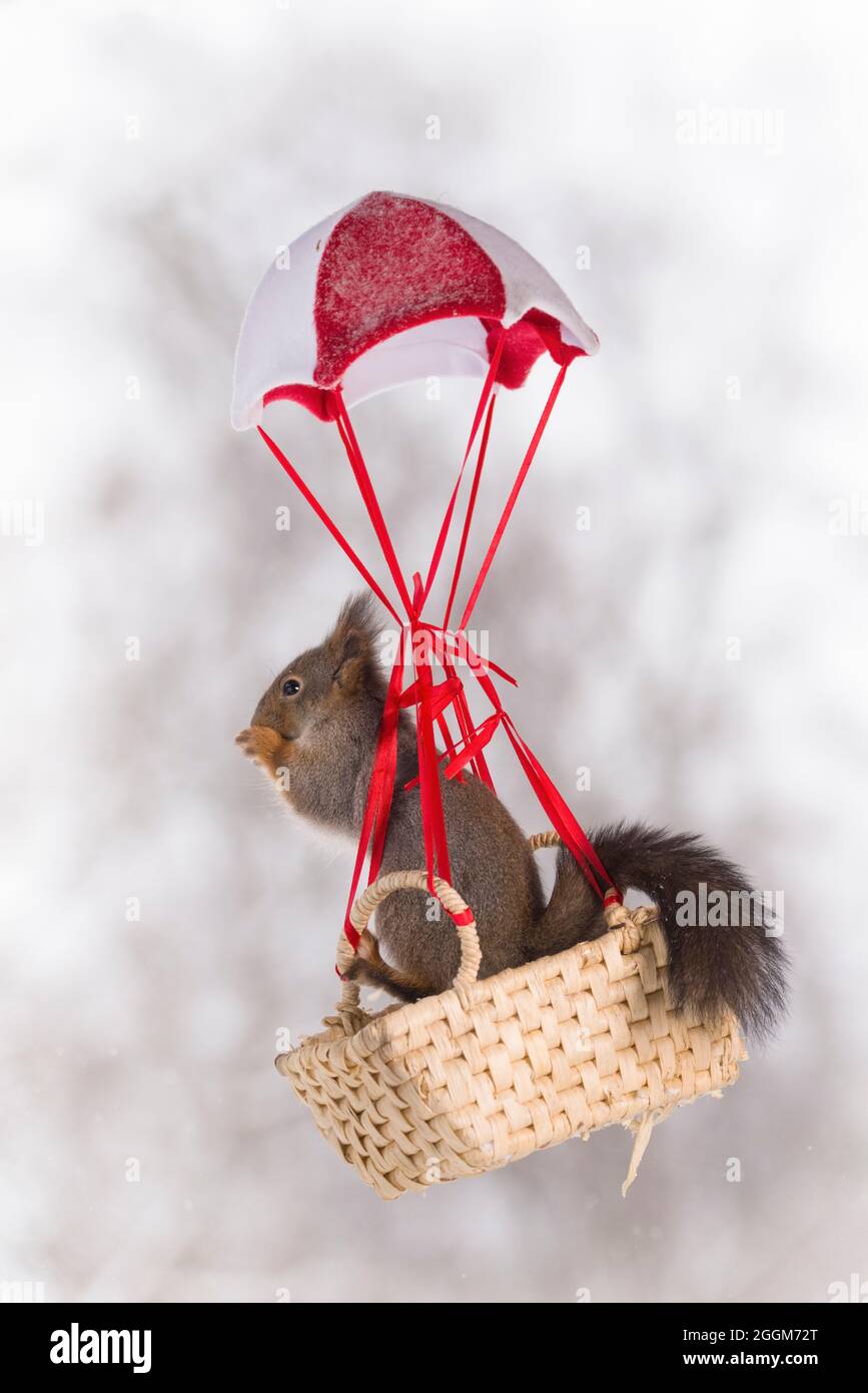 Parachute basket hi-res stock photography and images - Alamy