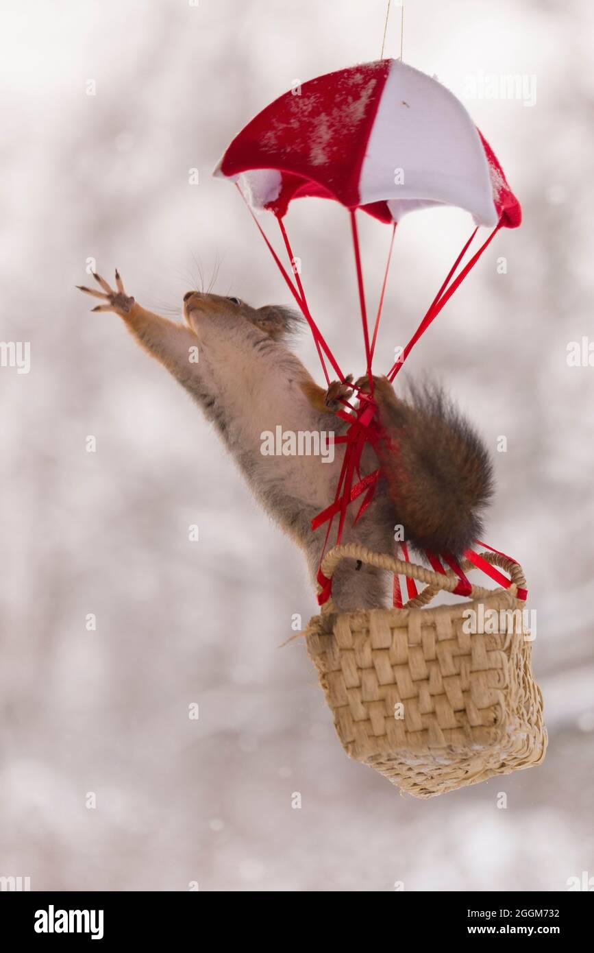 Parachute basket hi-res stock photography and images - Alamy