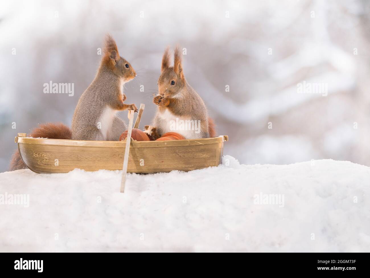 Two people in rowing boat hi-res stock photography and images - Alamy