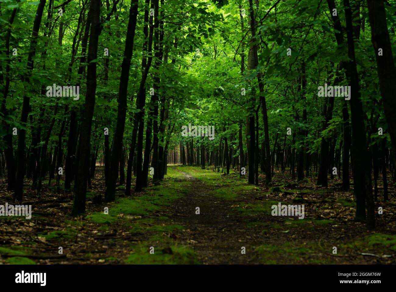 Rain in germany hi-res stock photography and images - Alamy