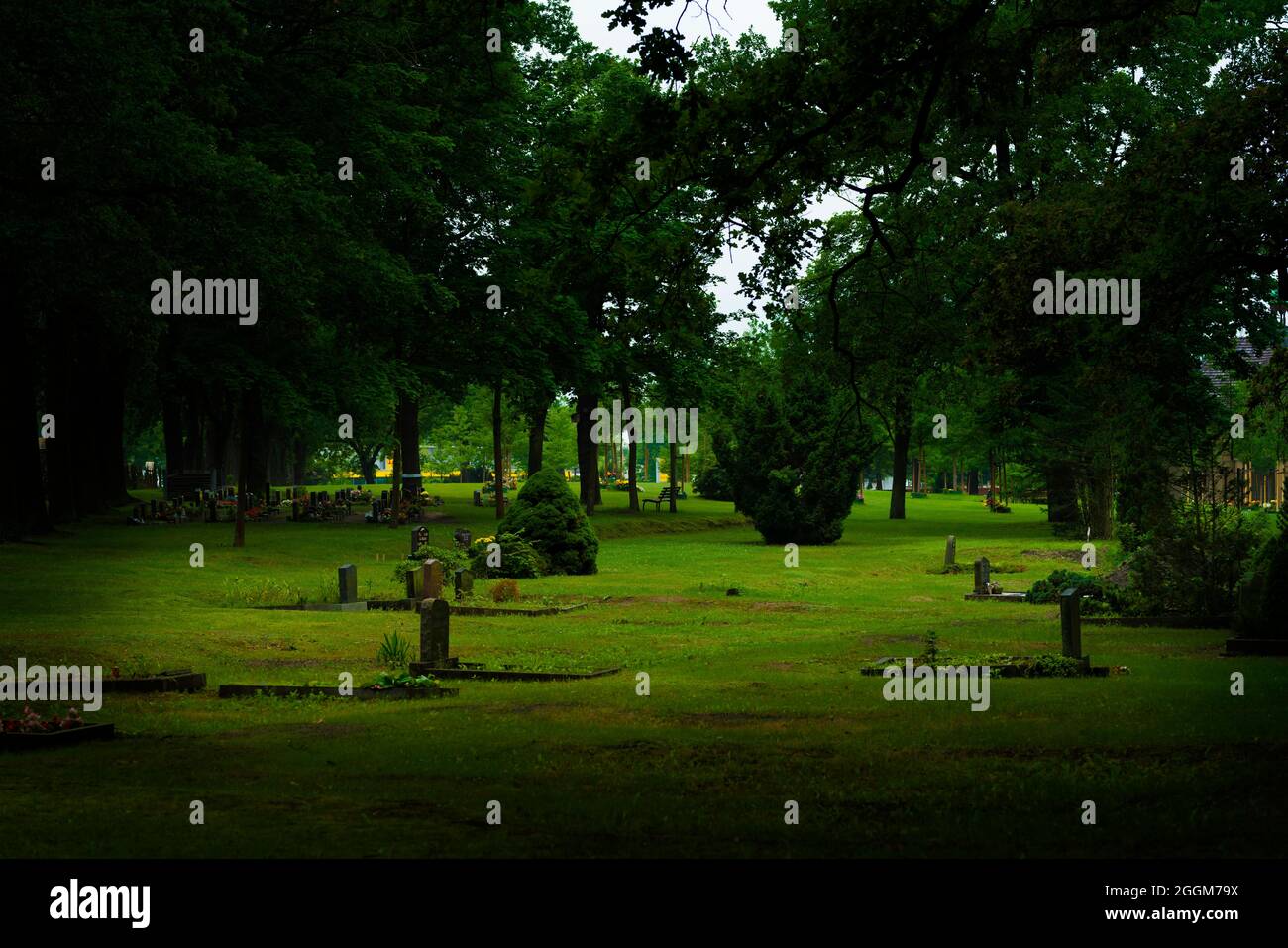 Green meadow with trees and graves in a public cemetery Stock Photo - Alamy