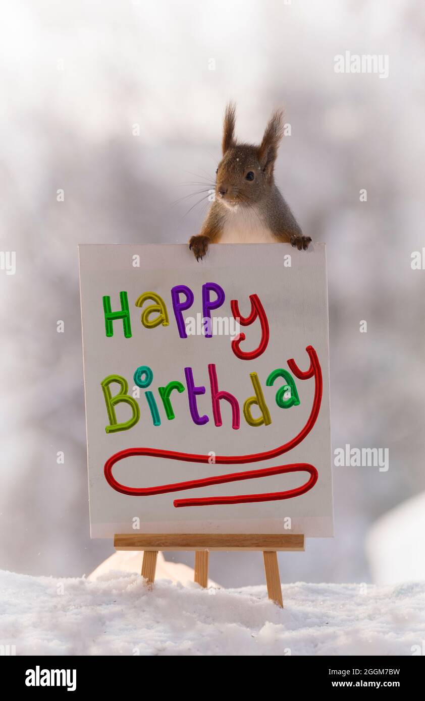Happy birthday sign hi-res stock photography and images - Alamy