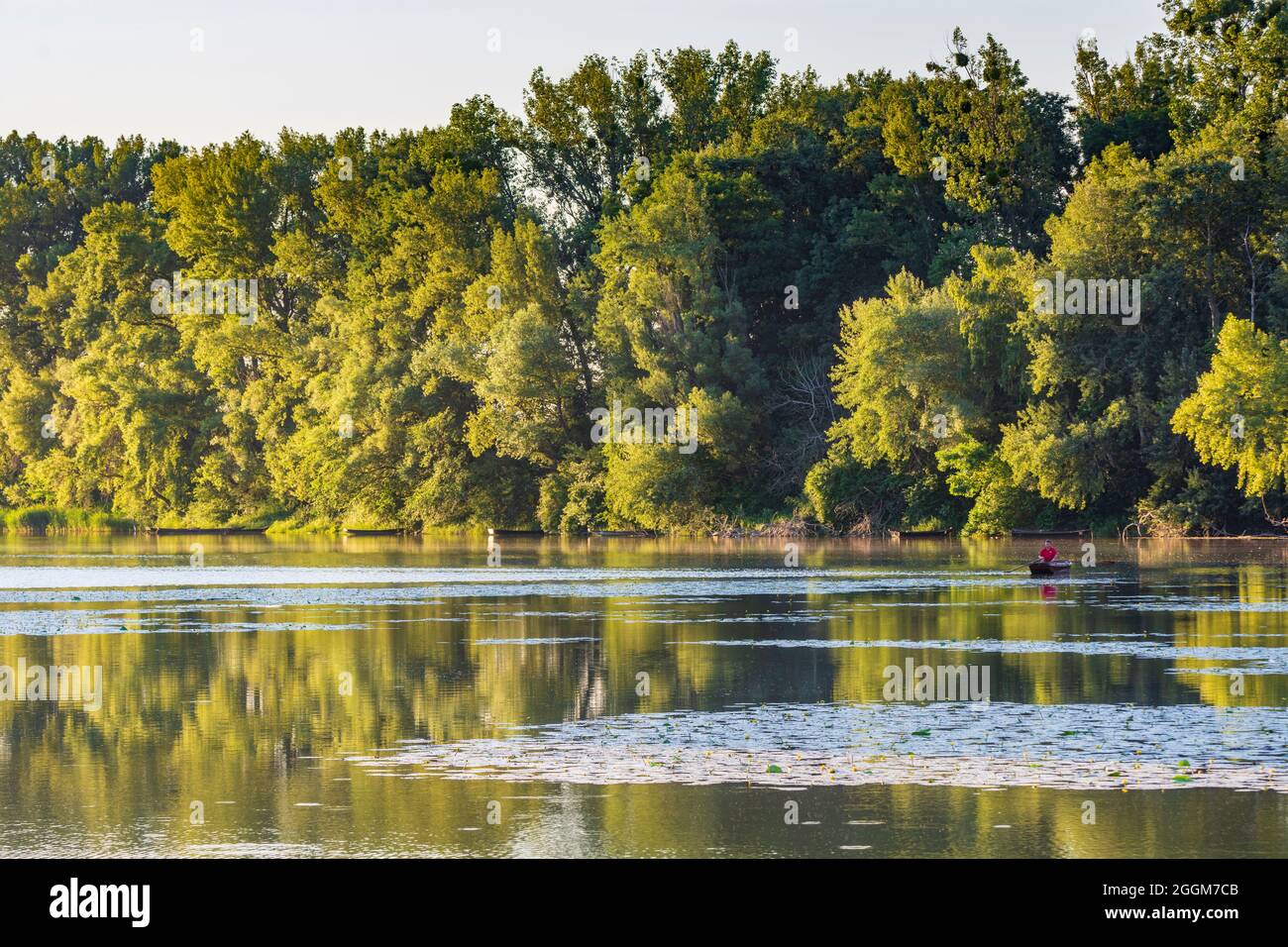 Vienna, angler on a boat in oxbow lake Kühwörter Wasser in floodplain ...