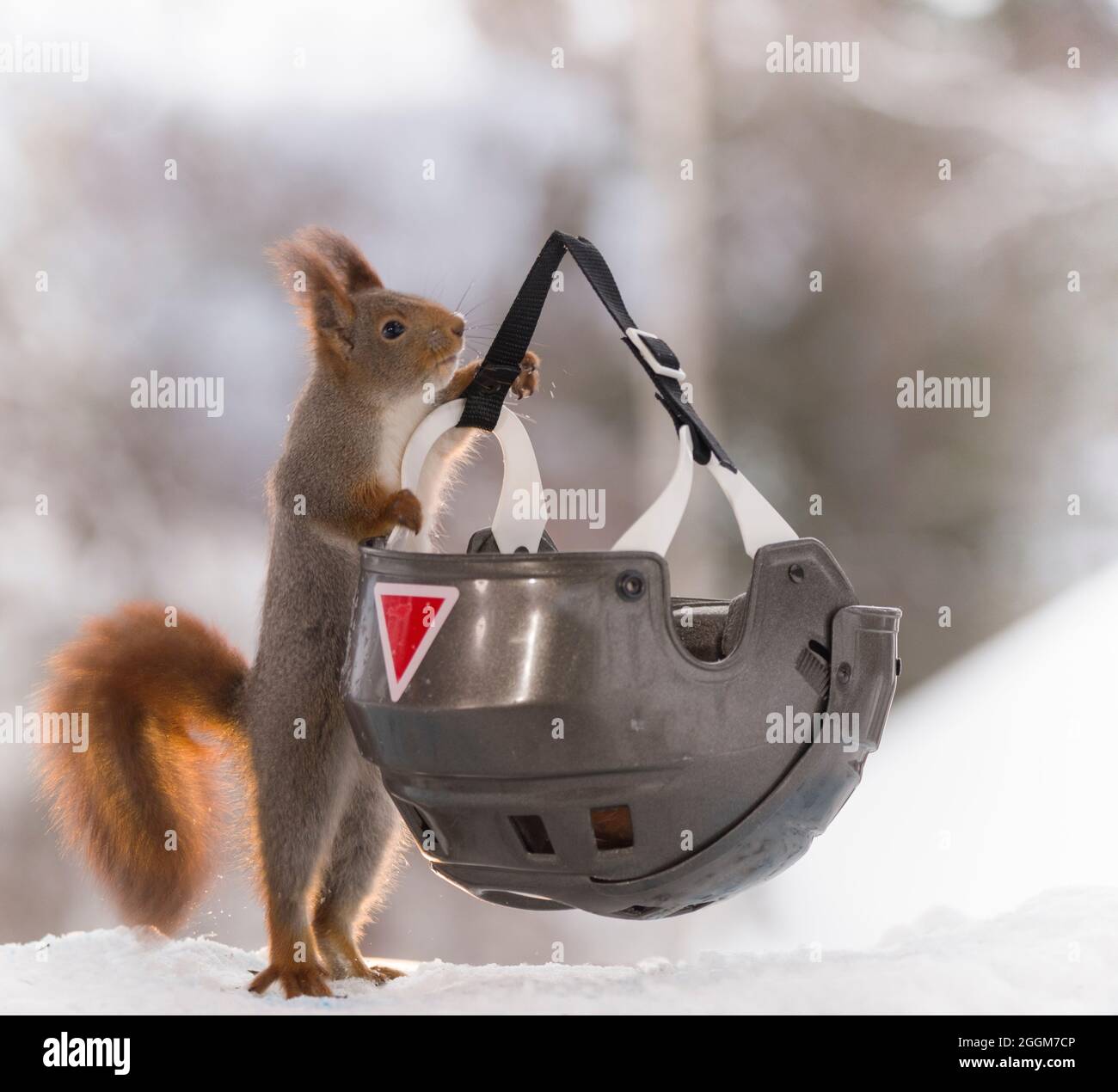 Holding a helmet hi-res stock photography and images - Alamy