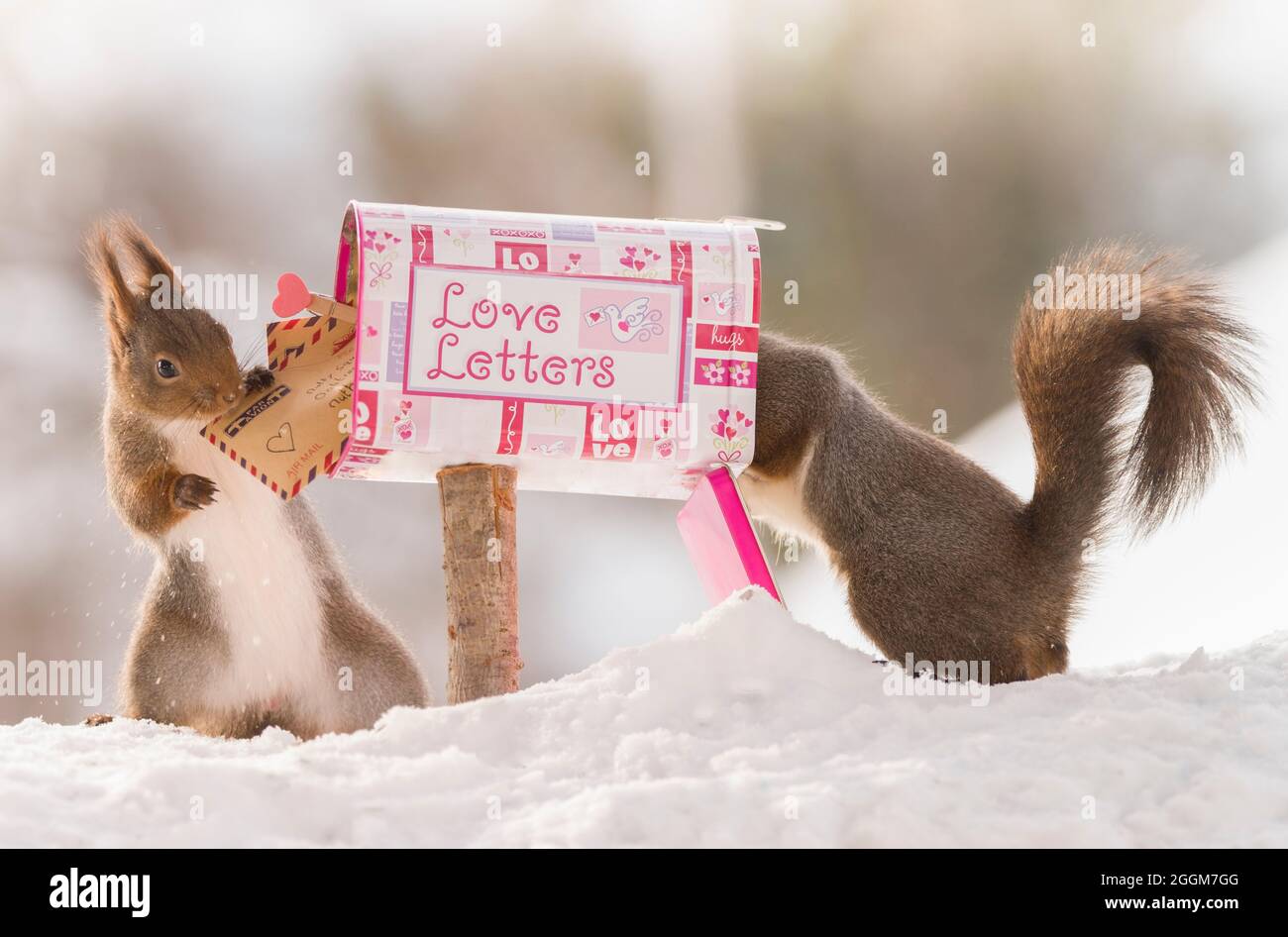 Postman letter box hi-res stock photography and images - Alamy