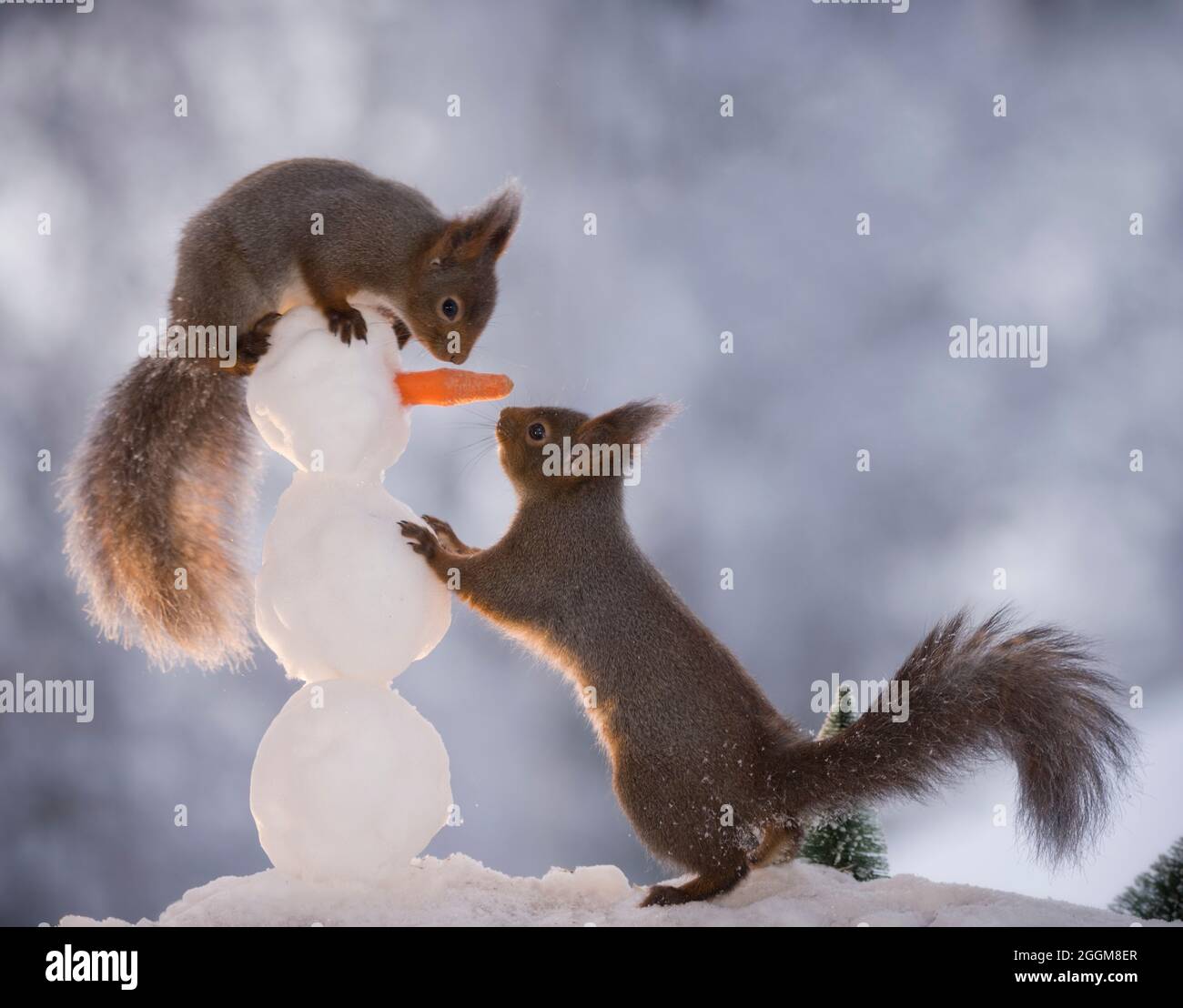 Snowman pair hi-res stock photography and images - Alamy