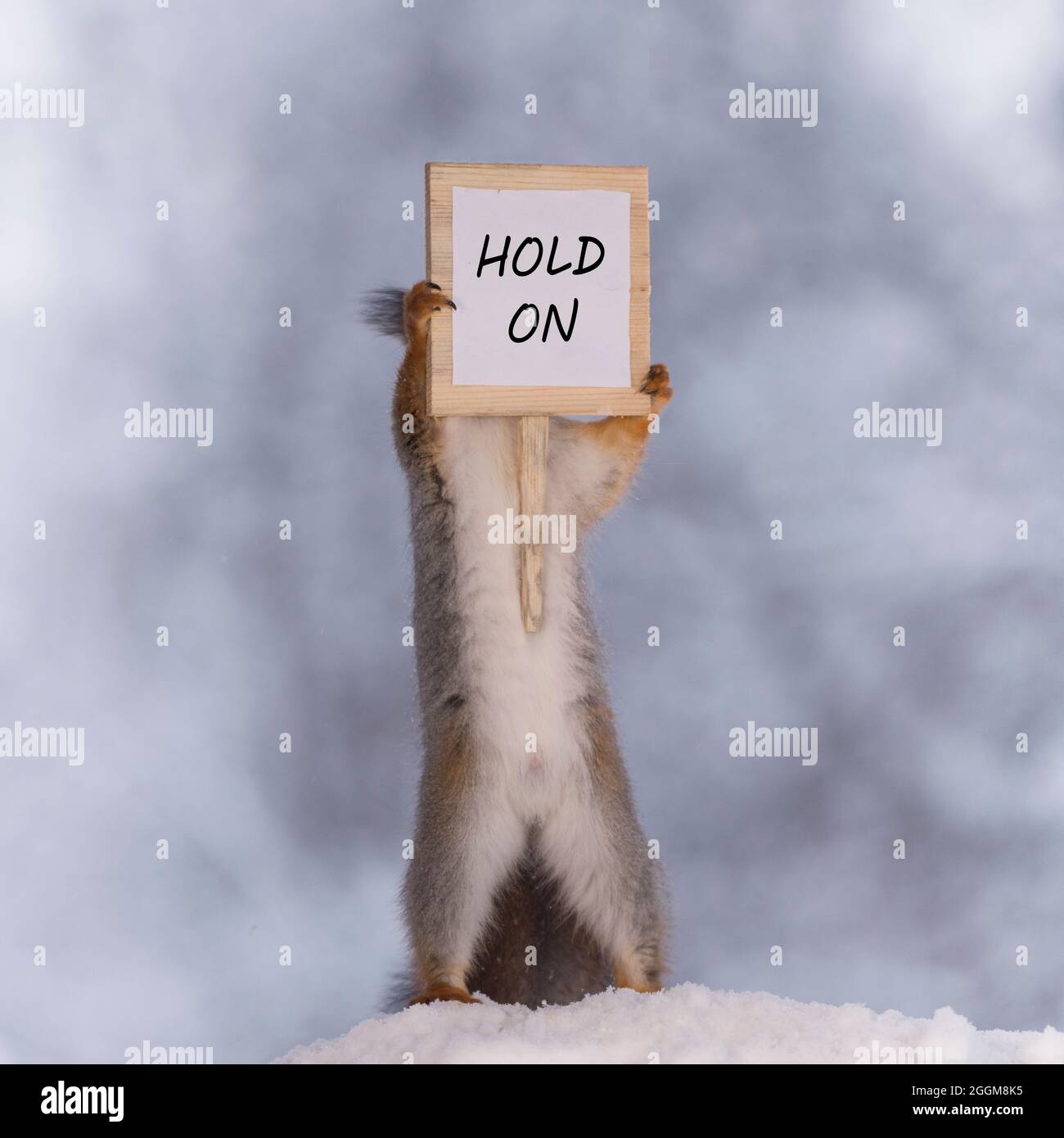 Hold Sign High Resolution Stock Photography and Images - Alamy