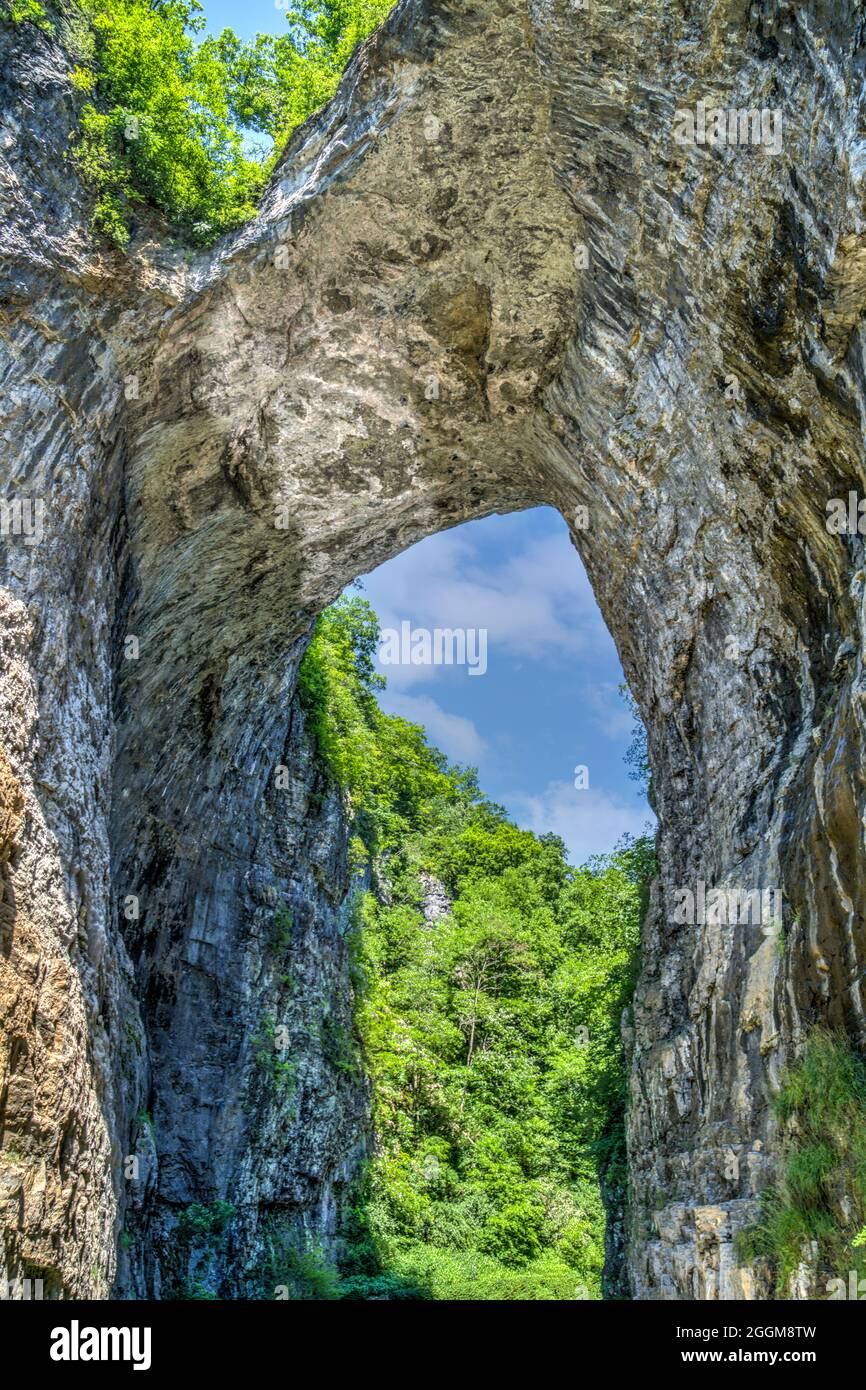 The Natural Bridge viewed from its southern side at Natural Bridge ...