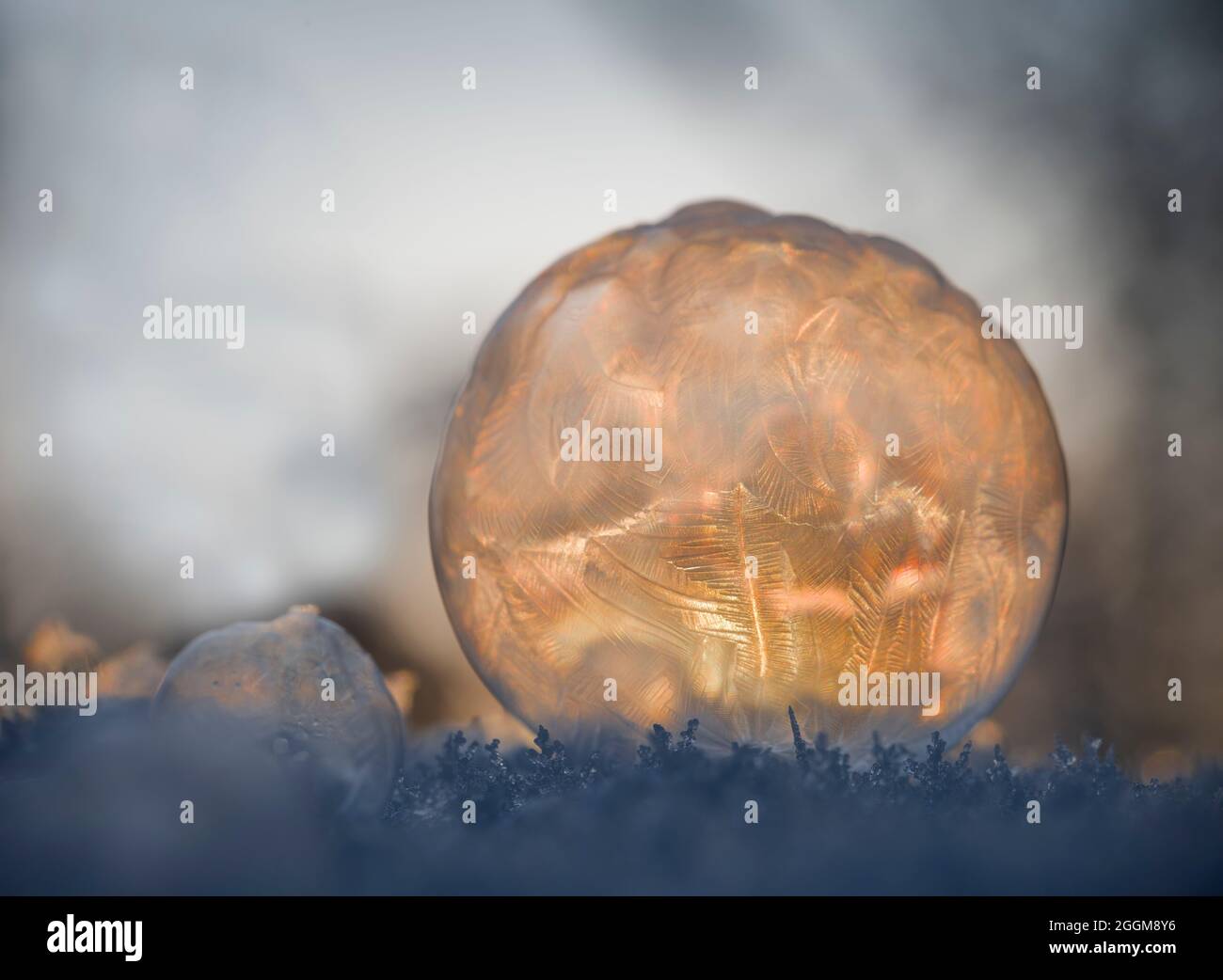 frozen soap ball in a sunset Stock Photo - Alamy