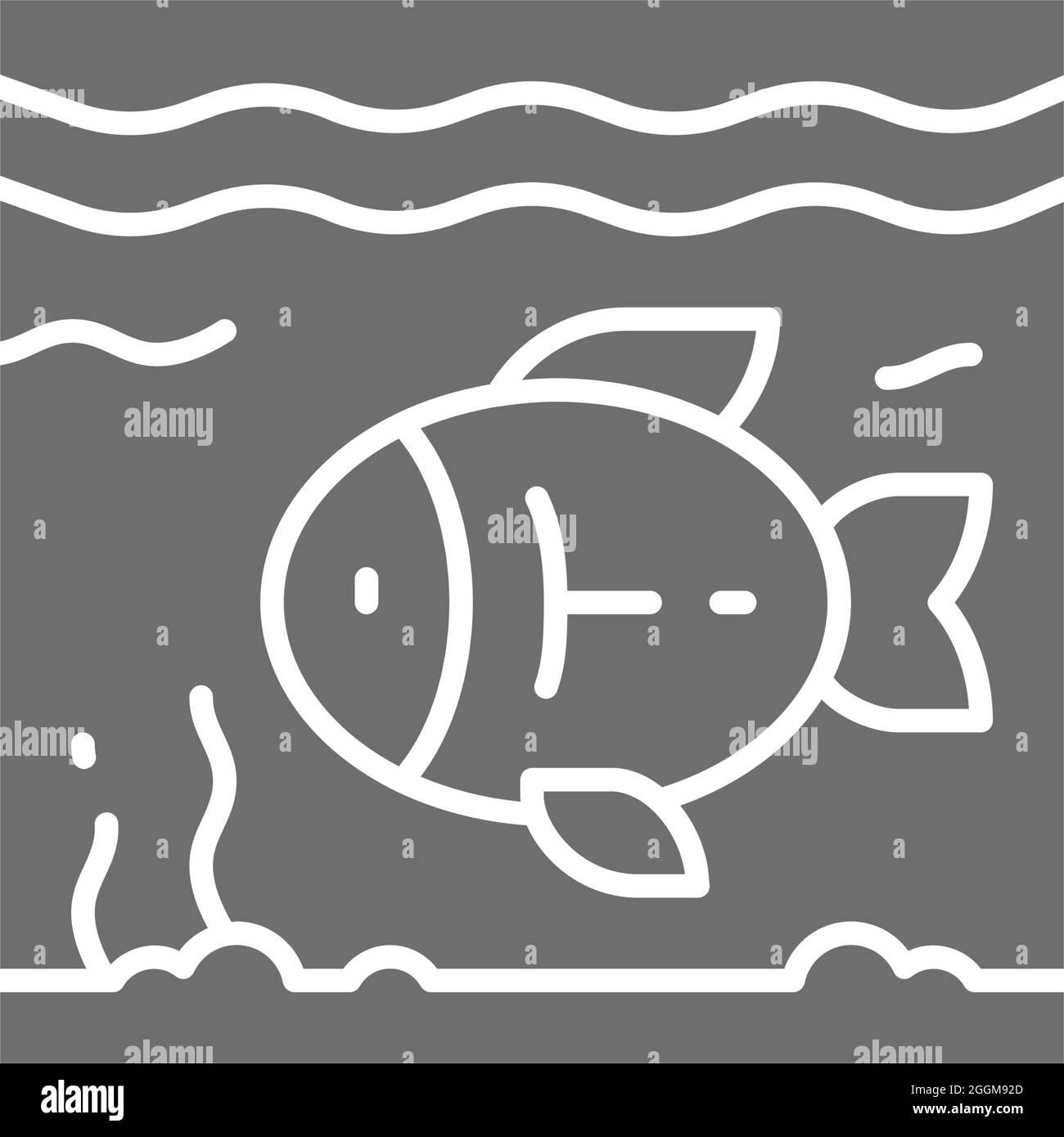 Fish pet equipment Black and White Stock Photos & Images - Alamy